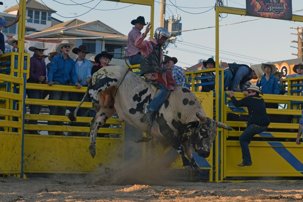 BK BUCKING BULLS - BK Bucking Bulls